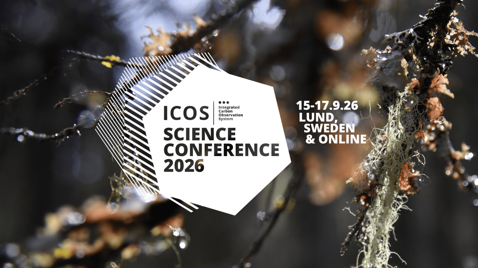 Call for ICOS Science Conference 2026 session proposals is open | ICOS